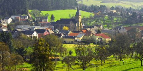 Reulanderwald à Bech, Luxembourg : Quand la Nature et la Sérénité Se ...