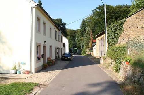 Découverte de Marscherwald : Une Perle Naturelle à Consdorf, Luxembourg ...